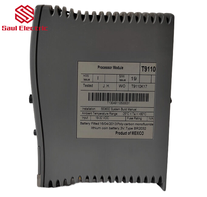 Digital signal processing module ICS TRIPLEX T8451C - SAUL ELECTRIC